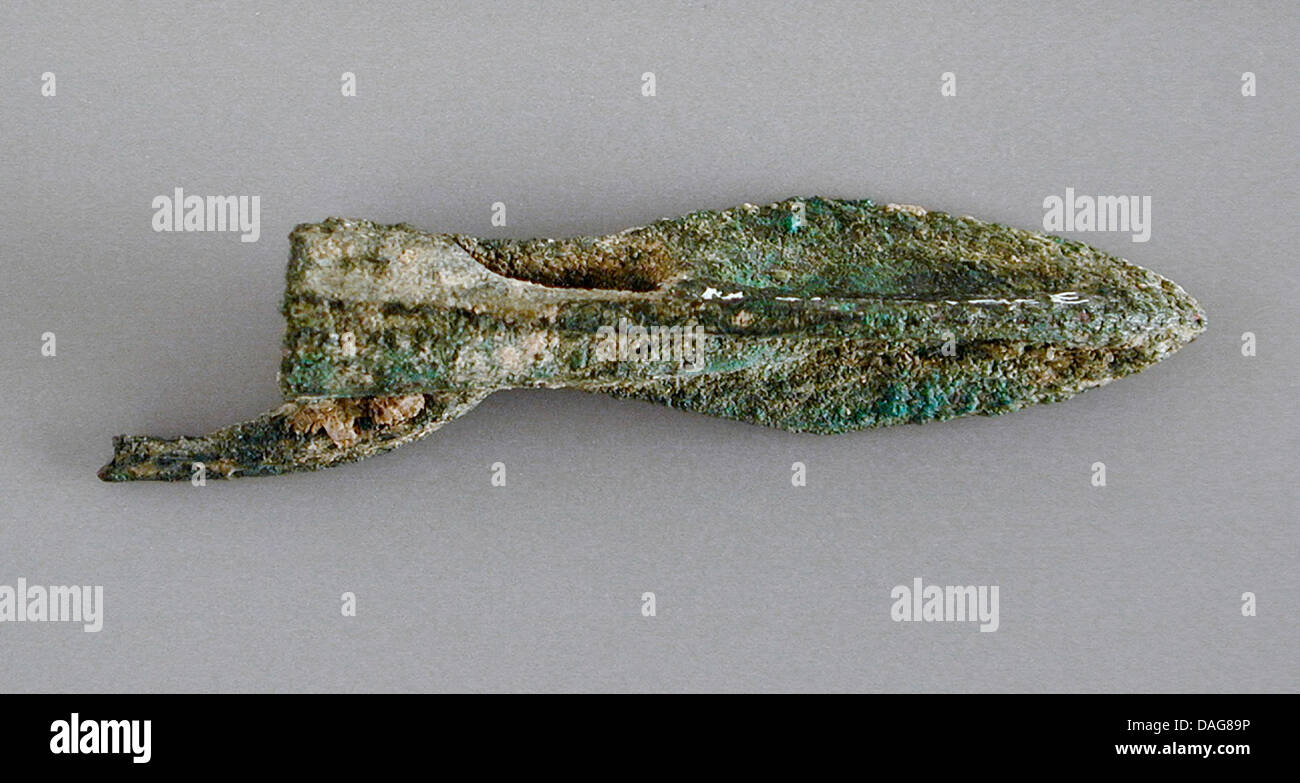 These seven spear points are a set of prehistoric weapons, likely used ...