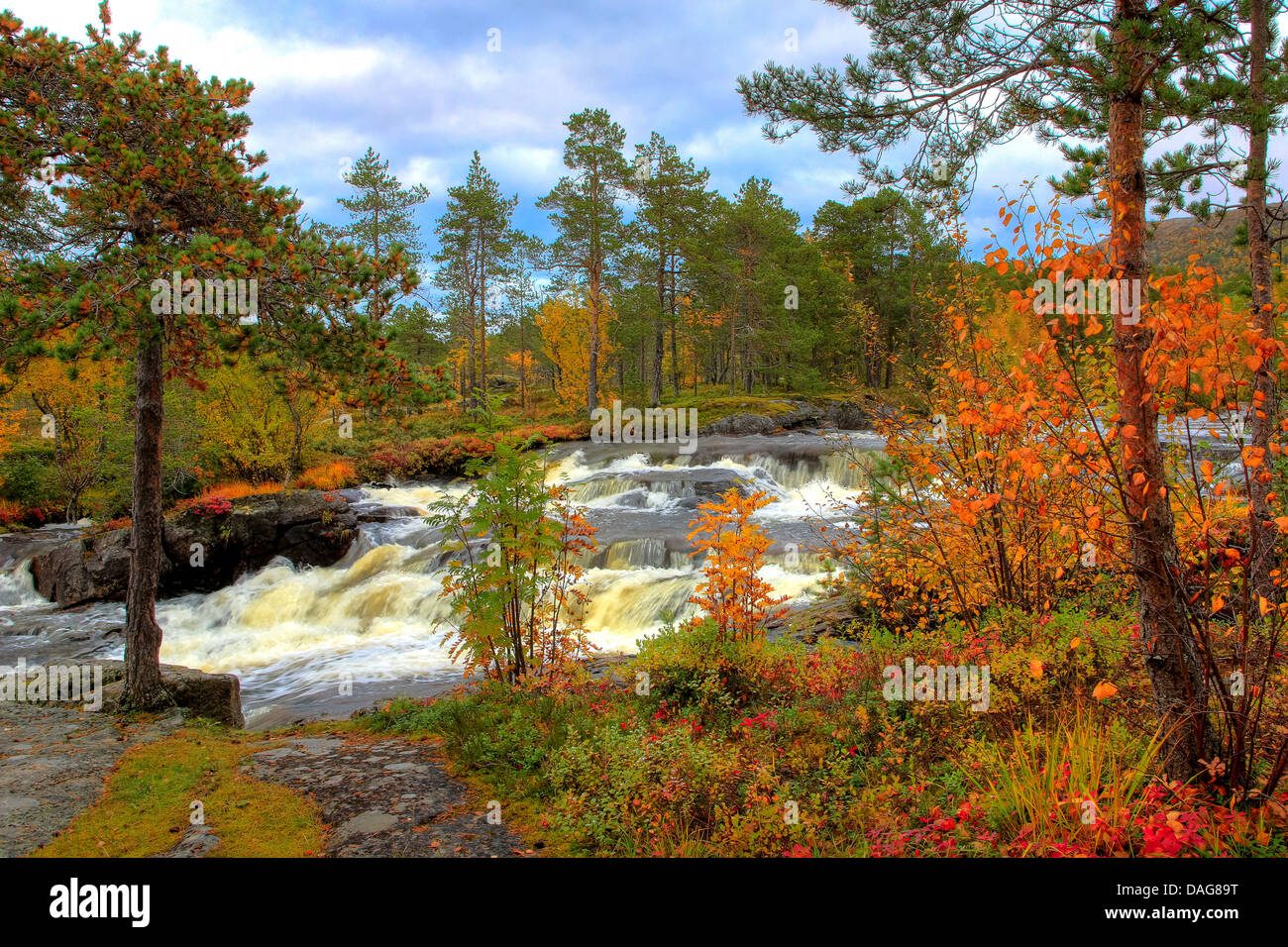 water fall in autumn in northern Norway, Norway, Nordland Stock Photo ...