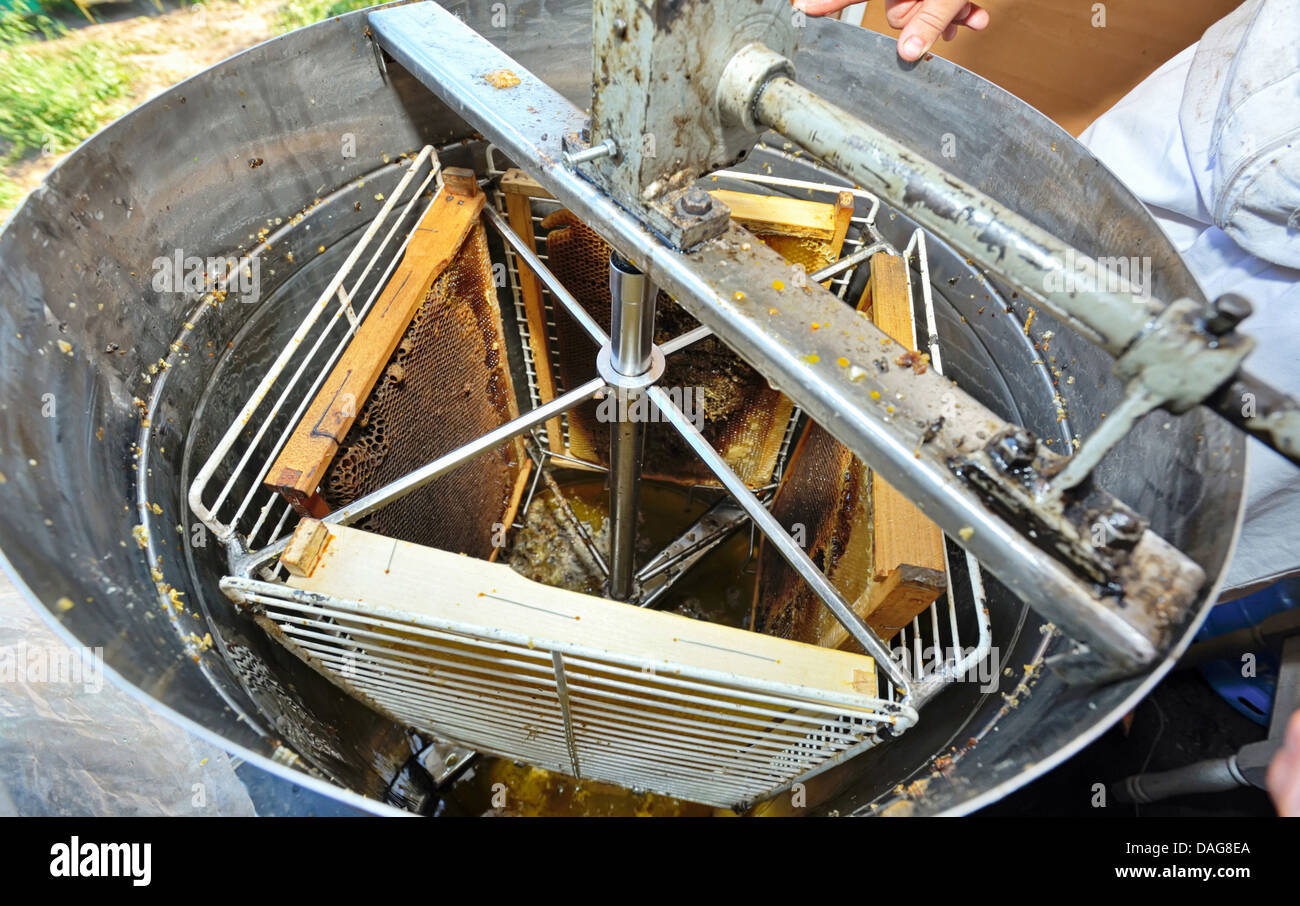 Honey extraction spinning hi-res stock photography and images - Alamy