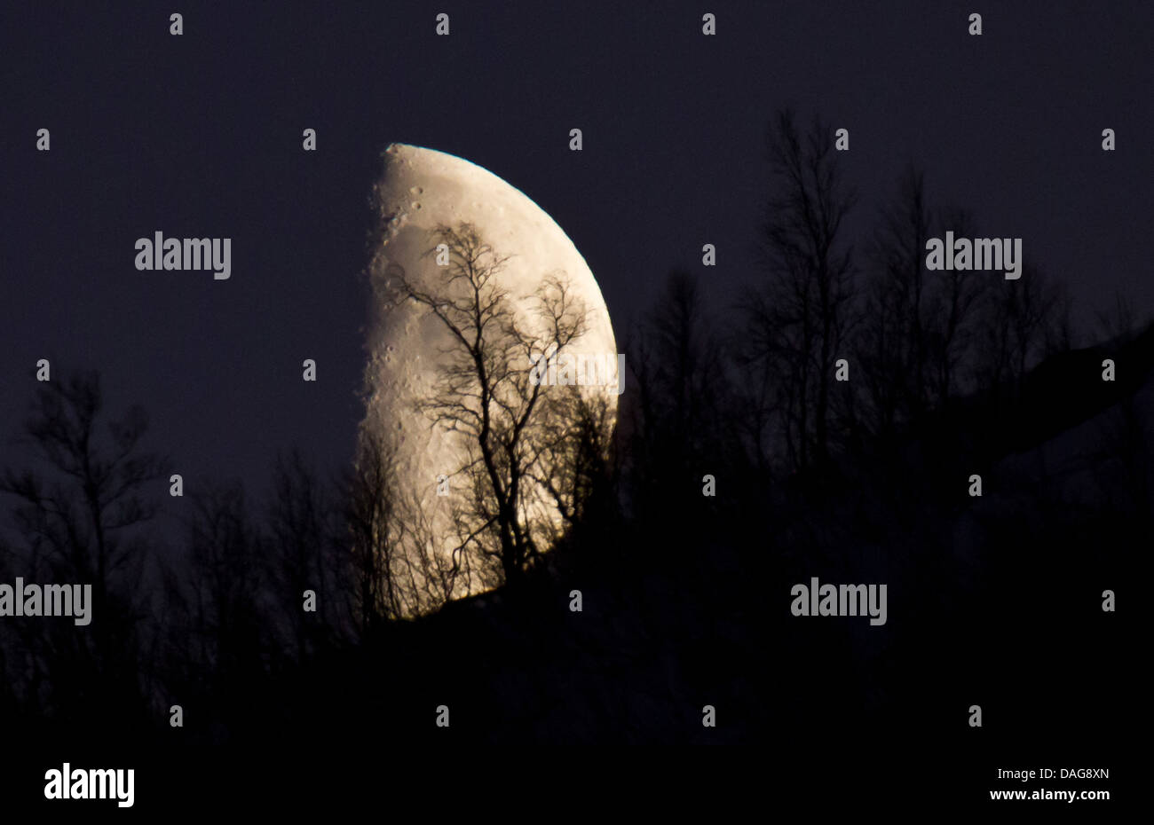 Half moons hi-res stock photography and images - Alamy