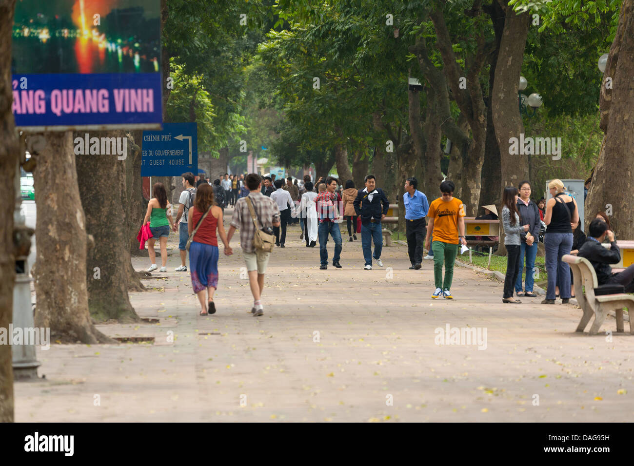 Tree Lined Boulevard High Resolution Stock Photography and Images - Alamy