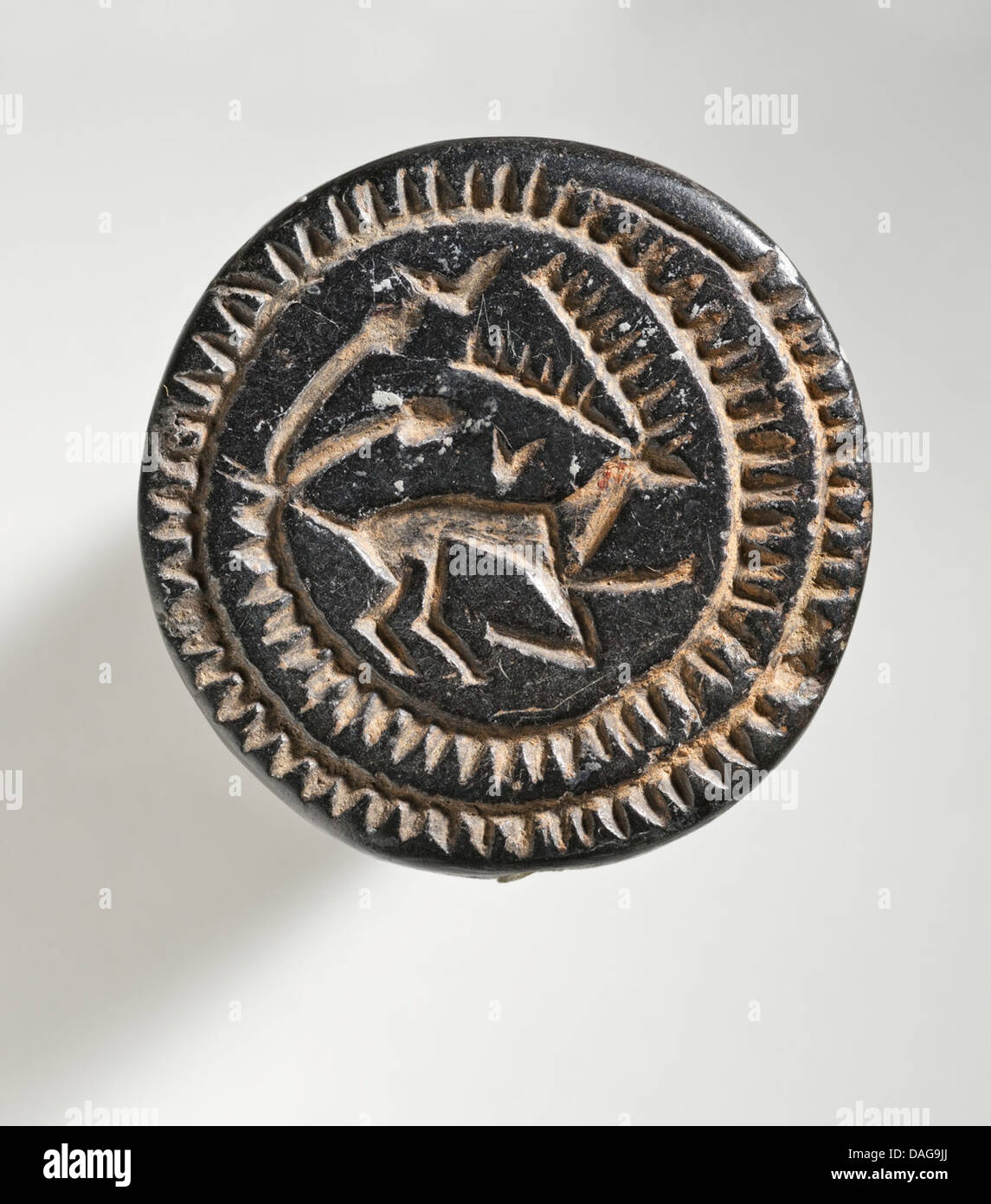 Hemispheroid seal hi-res stock photography and images - Alamy