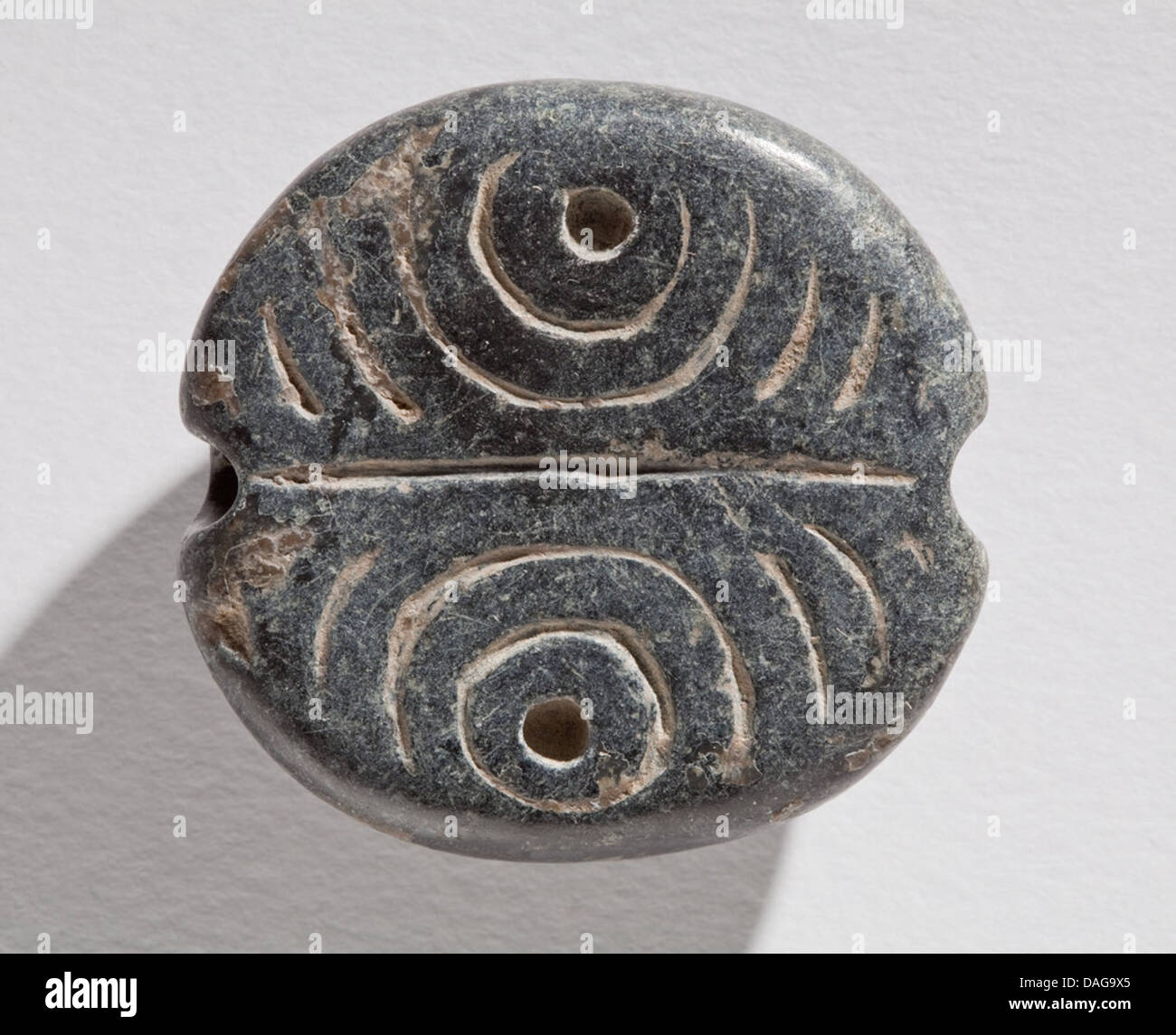 Hemispheroid seal hi-res stock photography and images - Alamy