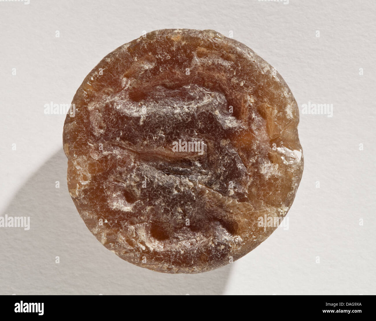 Hemispheroid seal hi-res stock photography and images - Alamy