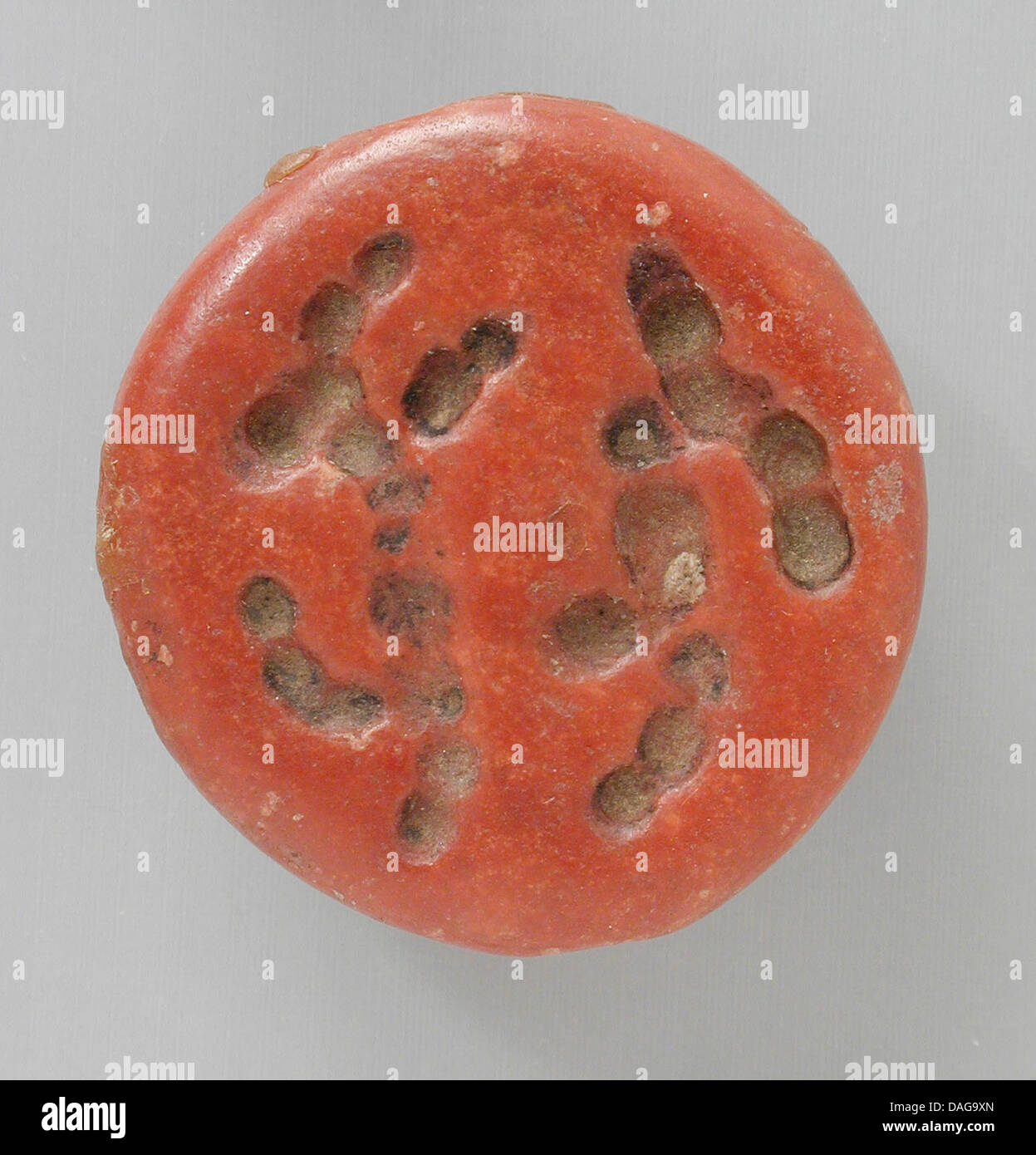 Hemispheroid seal hi-res stock photography and images - Alamy