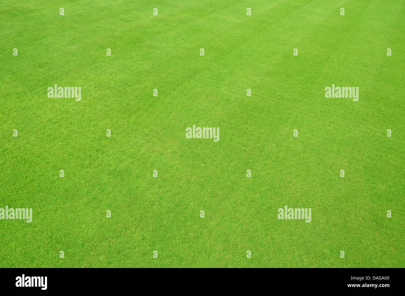 Grass for ground hi-res stock photography and images - Alamy