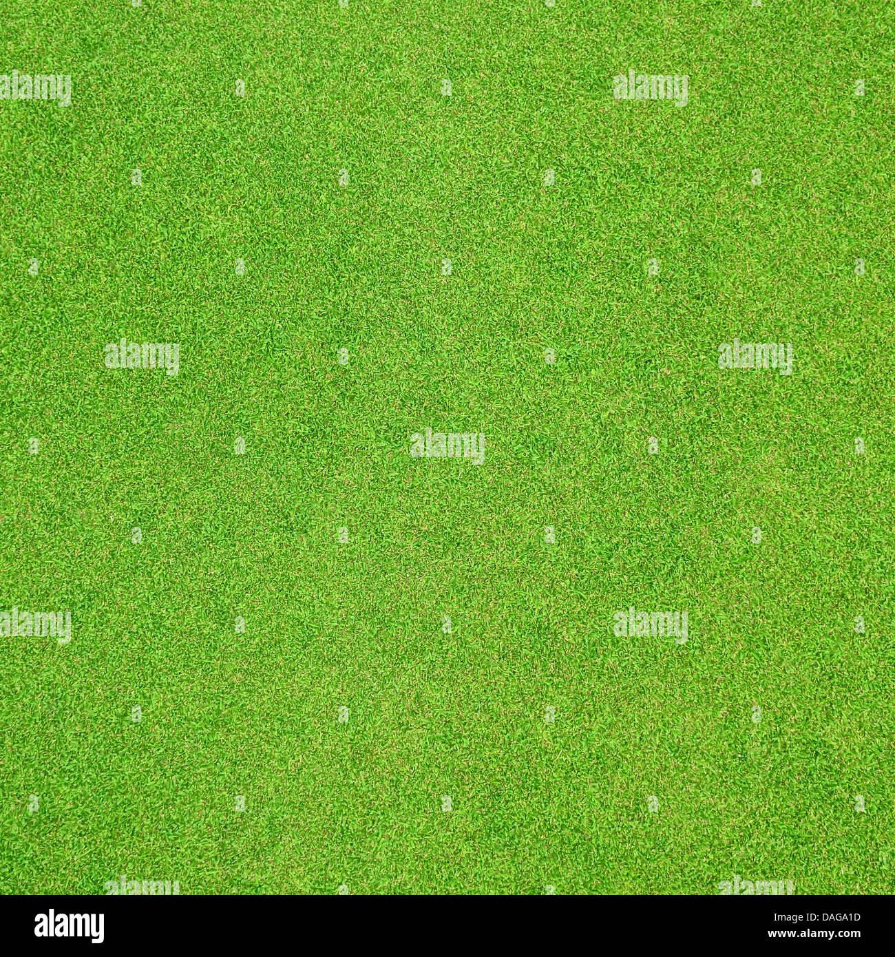 Grass for ground hi-res stock photography and images - Alamy