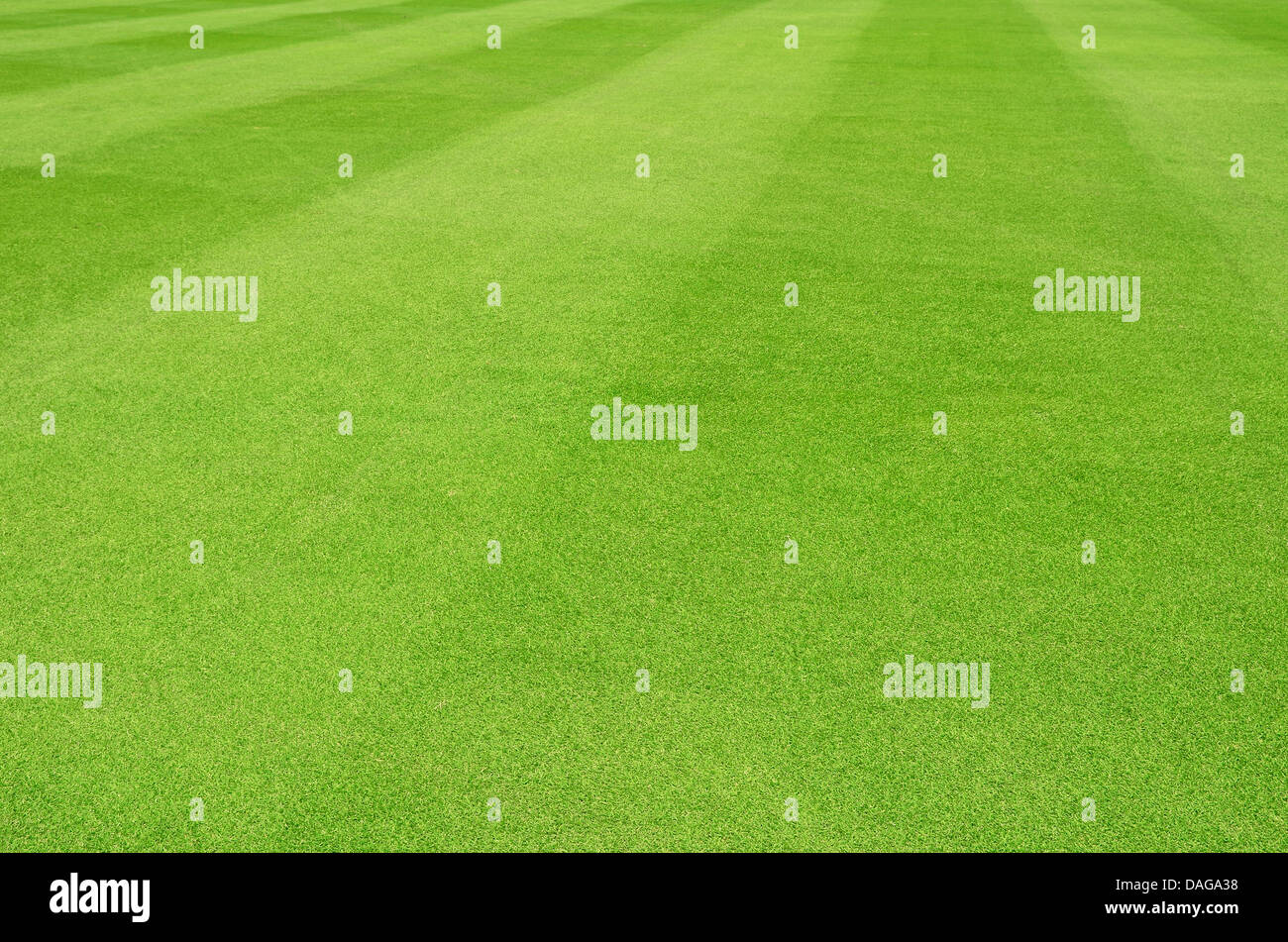 Baseball field grass hi-res stock photography and images - Alamy