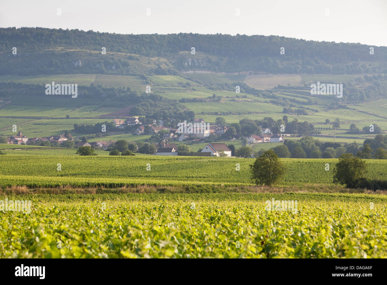 Maranges hi-res stock photography and images - Alamy