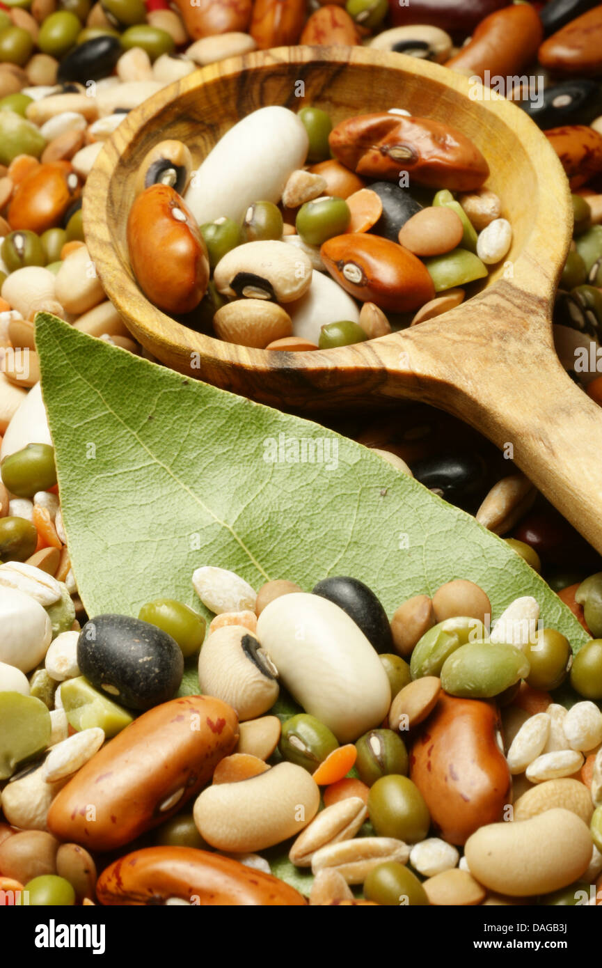 Cultivation of legumes hi-res stock photography and images - Alamy