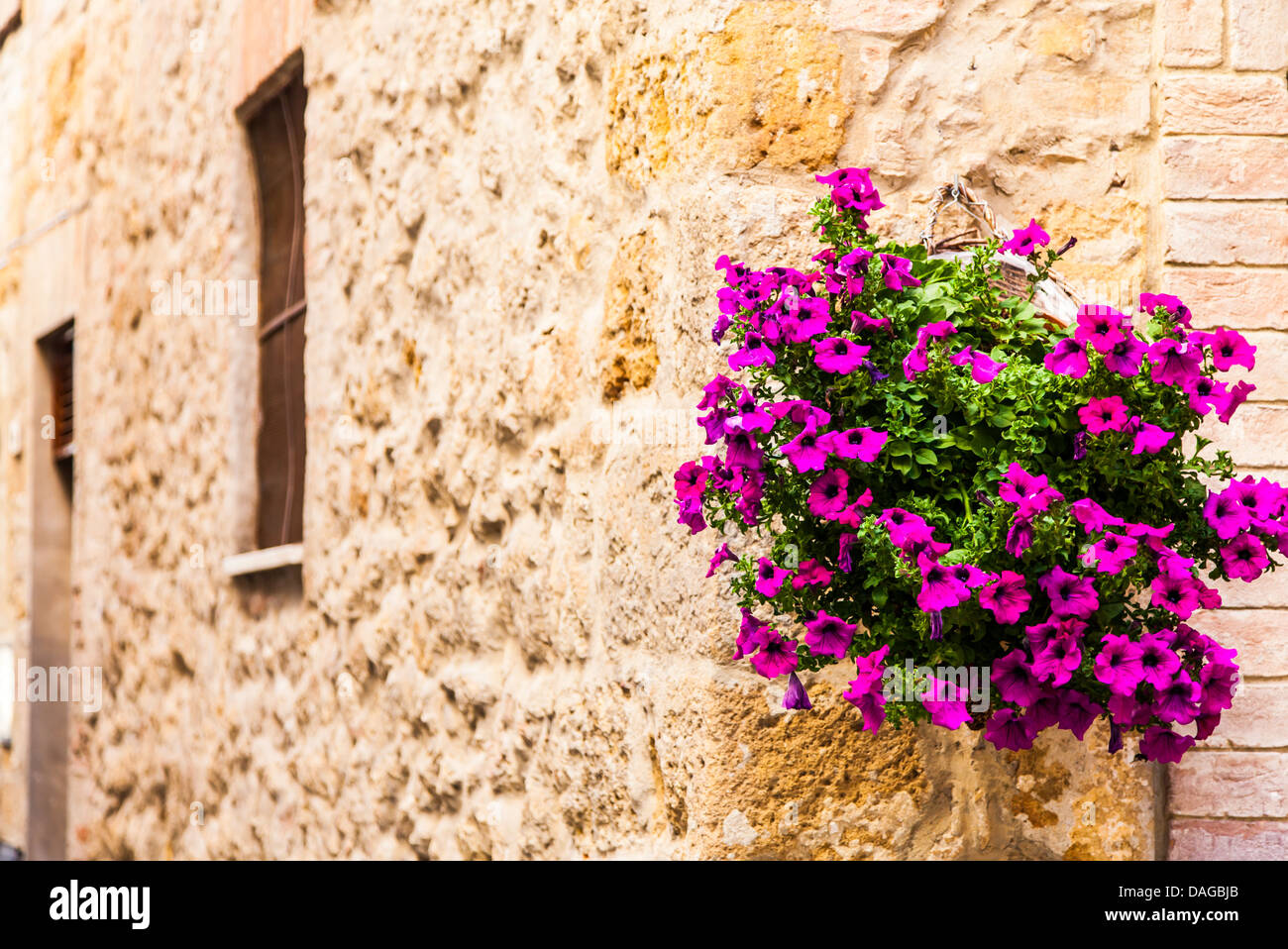 Pienza, Tuscany region, Italy. Old wall with flowers Stock Photo - Alamy
