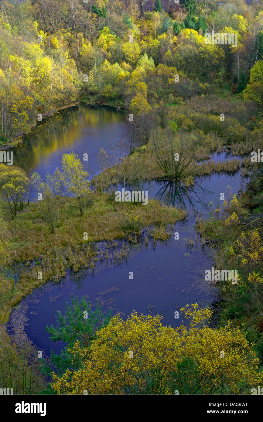 wetland biotope in closed lava stone quarry, Germany, Rhineland ...