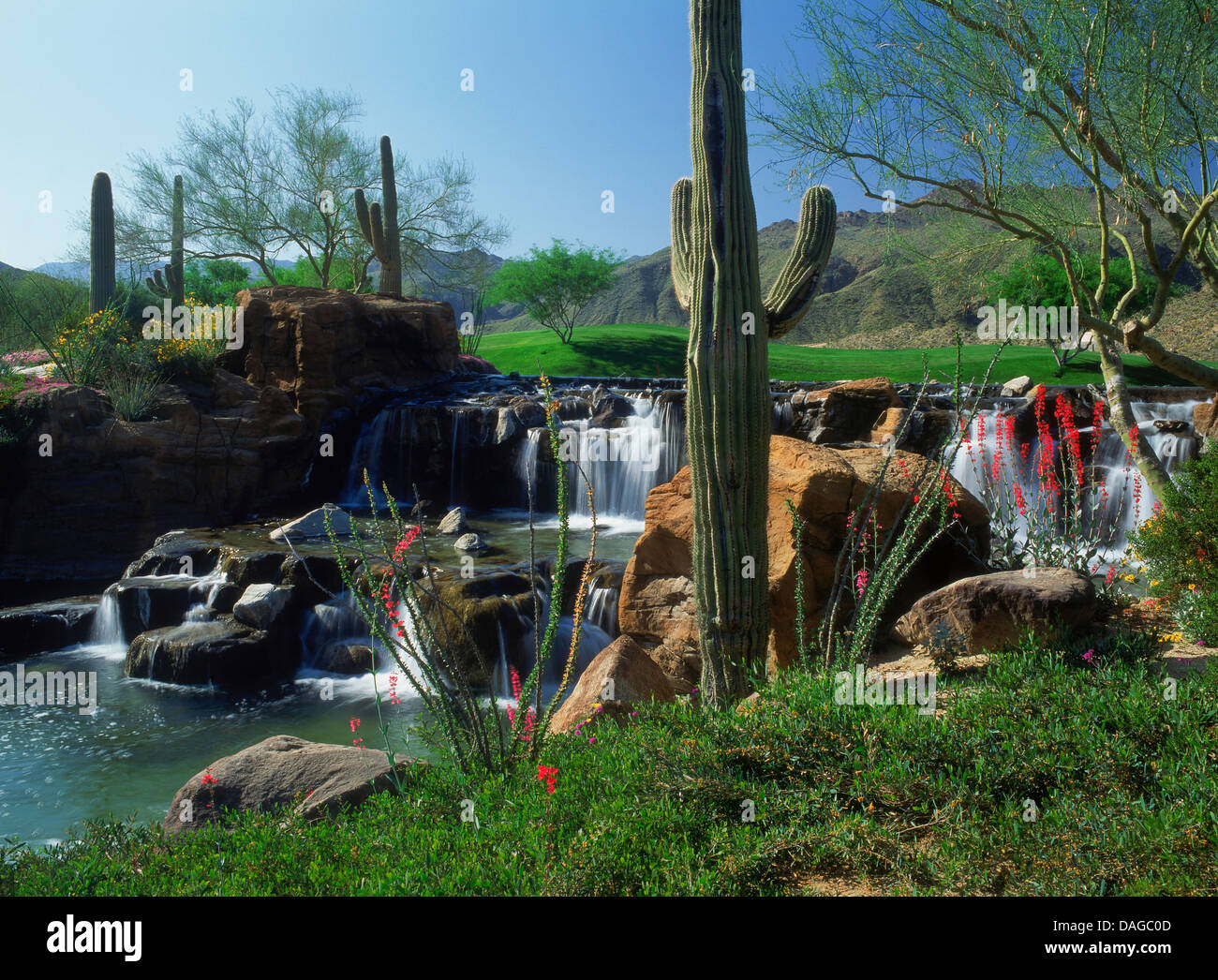 Living desert colors and small stream in Palm Desert, California Stock ...