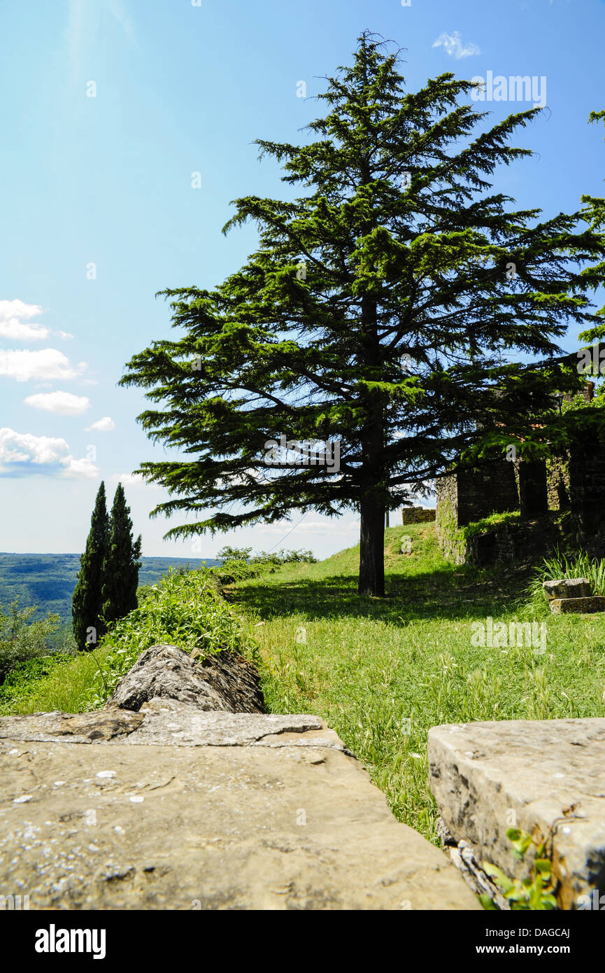 Istria, Croatia, Groznjan Stock Photo - Alamy