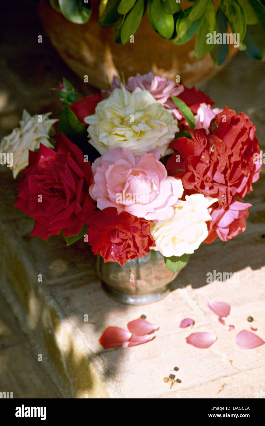 Still-life of pink and cream roses in small vase Stock Photo - Alamy