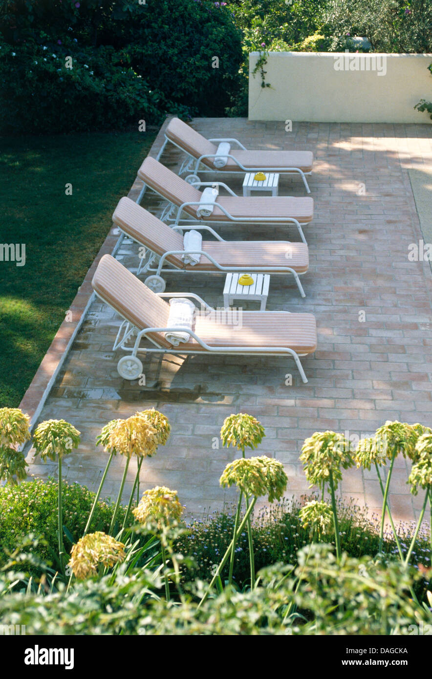 Row of sun beds hi-res stock photography and images - Alamy