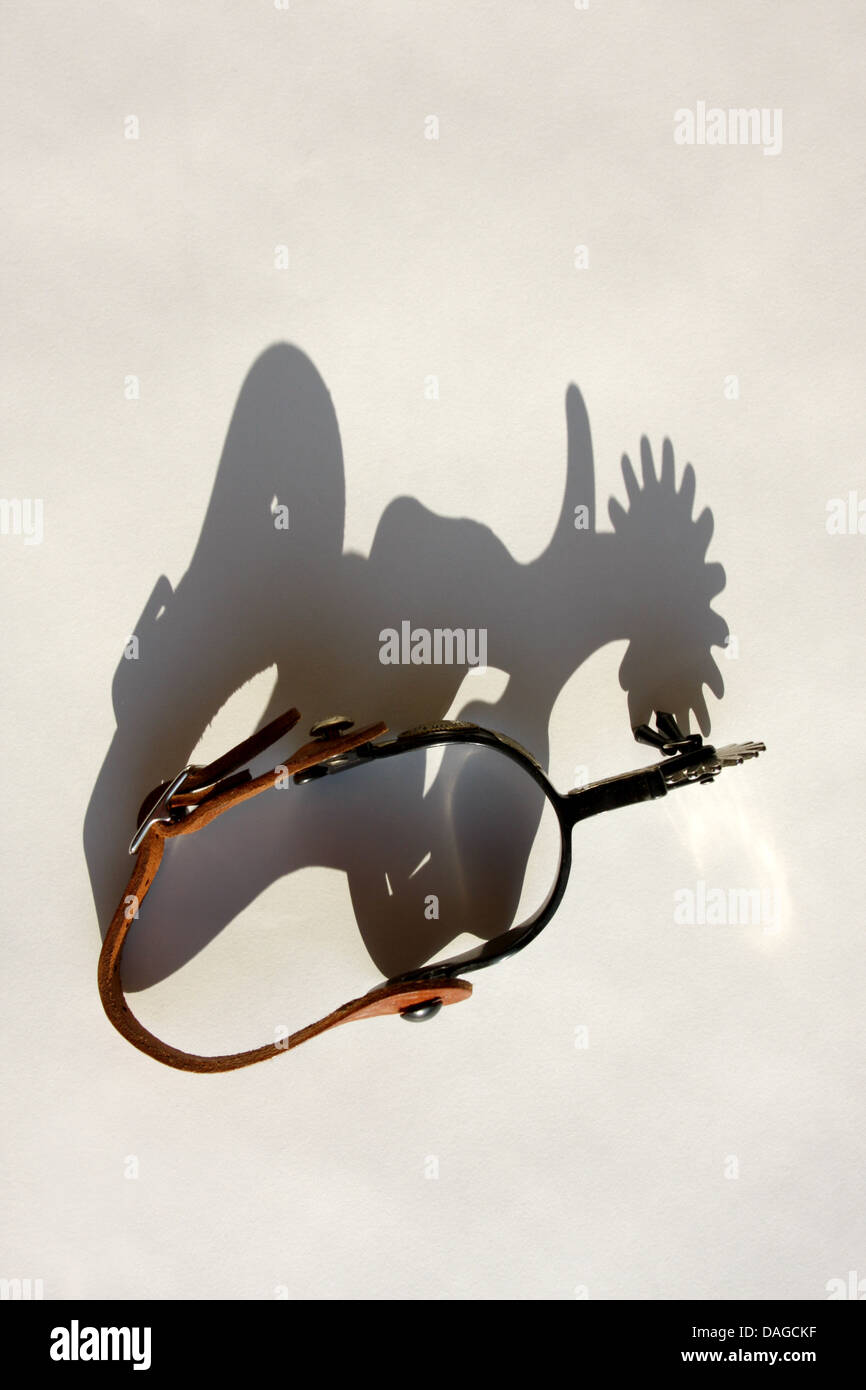 Western spur shadow Stock Photo - Alamy