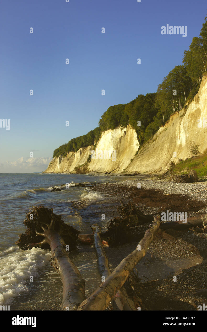 Jasmund National Park chalk cliffs, Kollicker Ufer, Germany ...