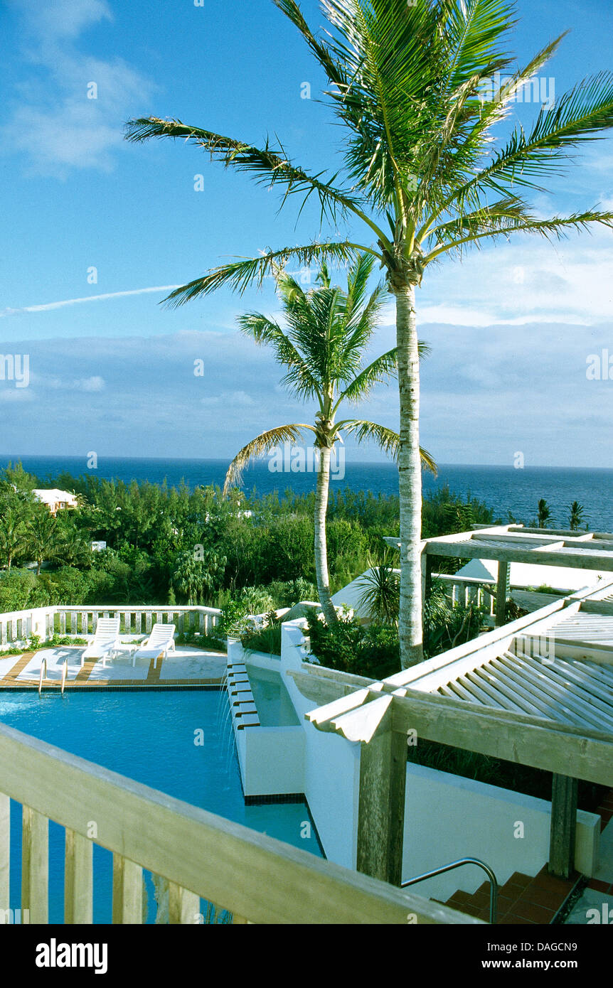 Terrace of coastal villa with palm trees and view of the ocean Stock ...