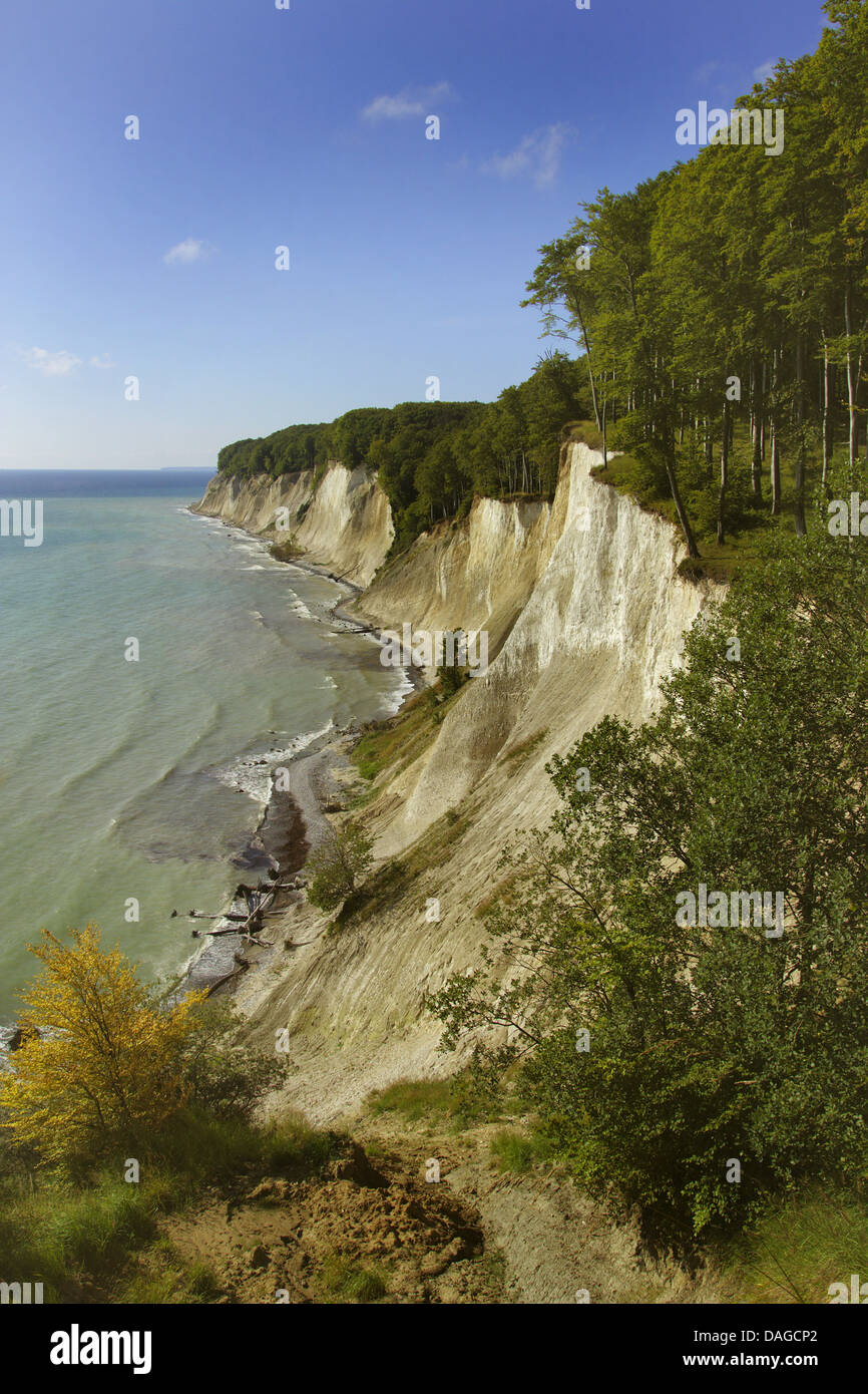 Jasmund National Park chalk cliffs, Germany, Mecklenburg-Western ...