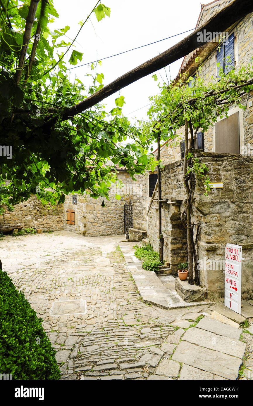 Istria, Croatia, Groznjan Stock Photo - Alamy