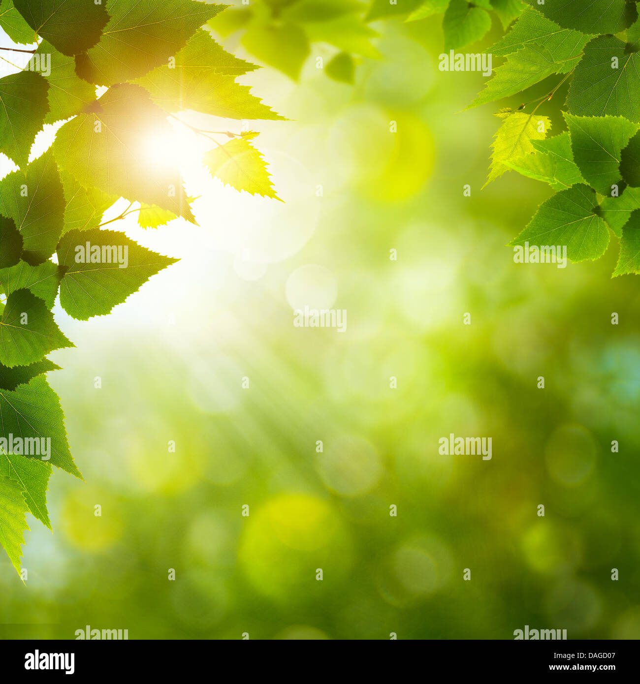 Summer Afternoon. Abstract natural backgrounds with beauty bokeh Stock ...