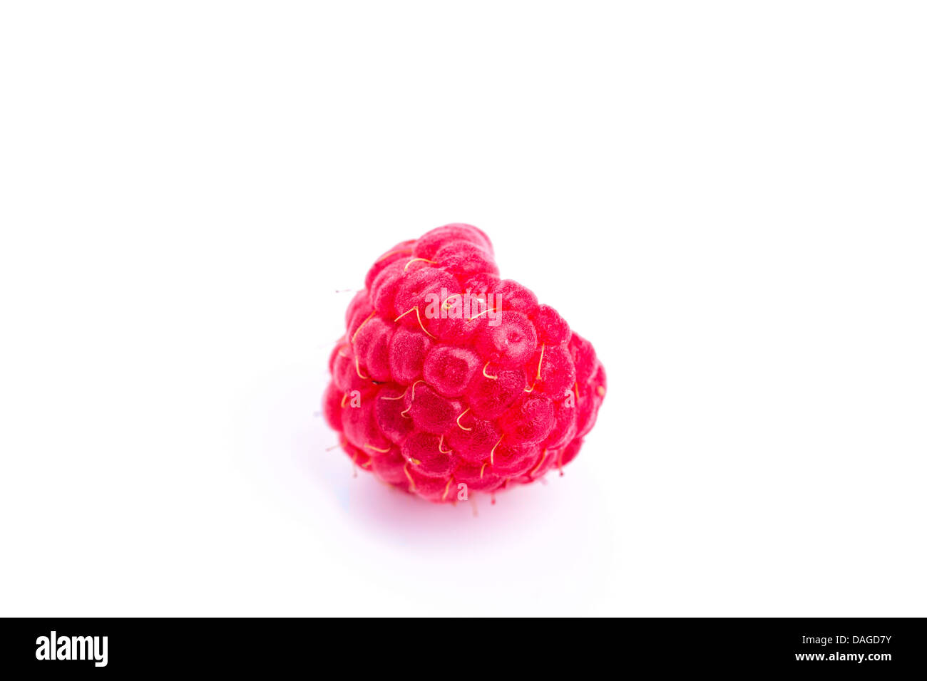 Ripe raspberry isolated on a white background Stock Photo - Alamy