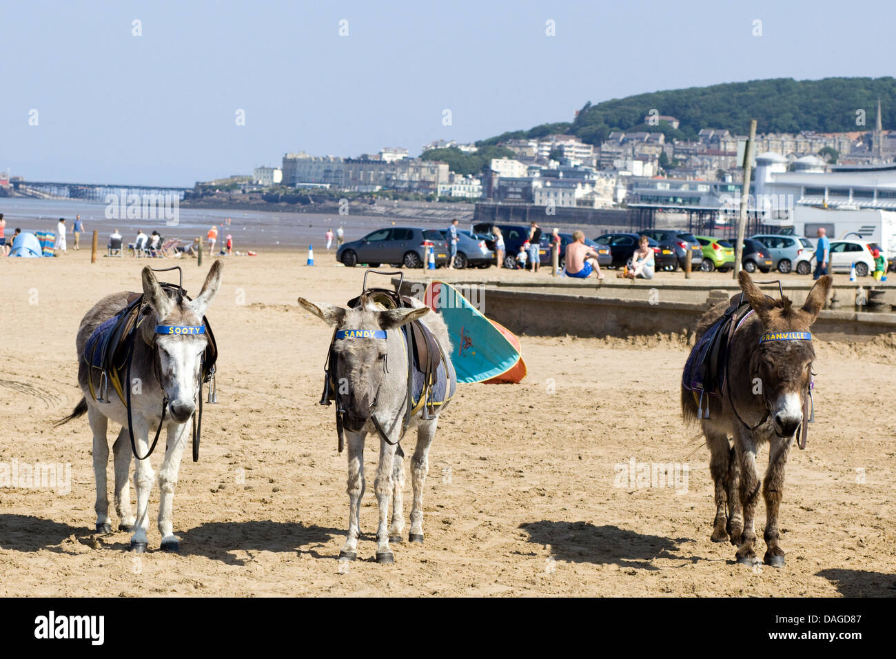 Donkey rides on the beach Stock Photo - Alamy