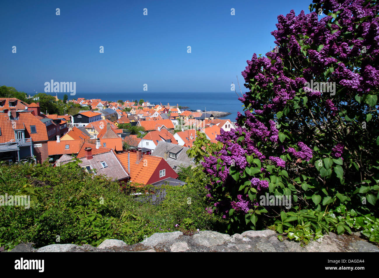 View of Gudhjem on Bornholm, Denmark Stock Photo - Alamy