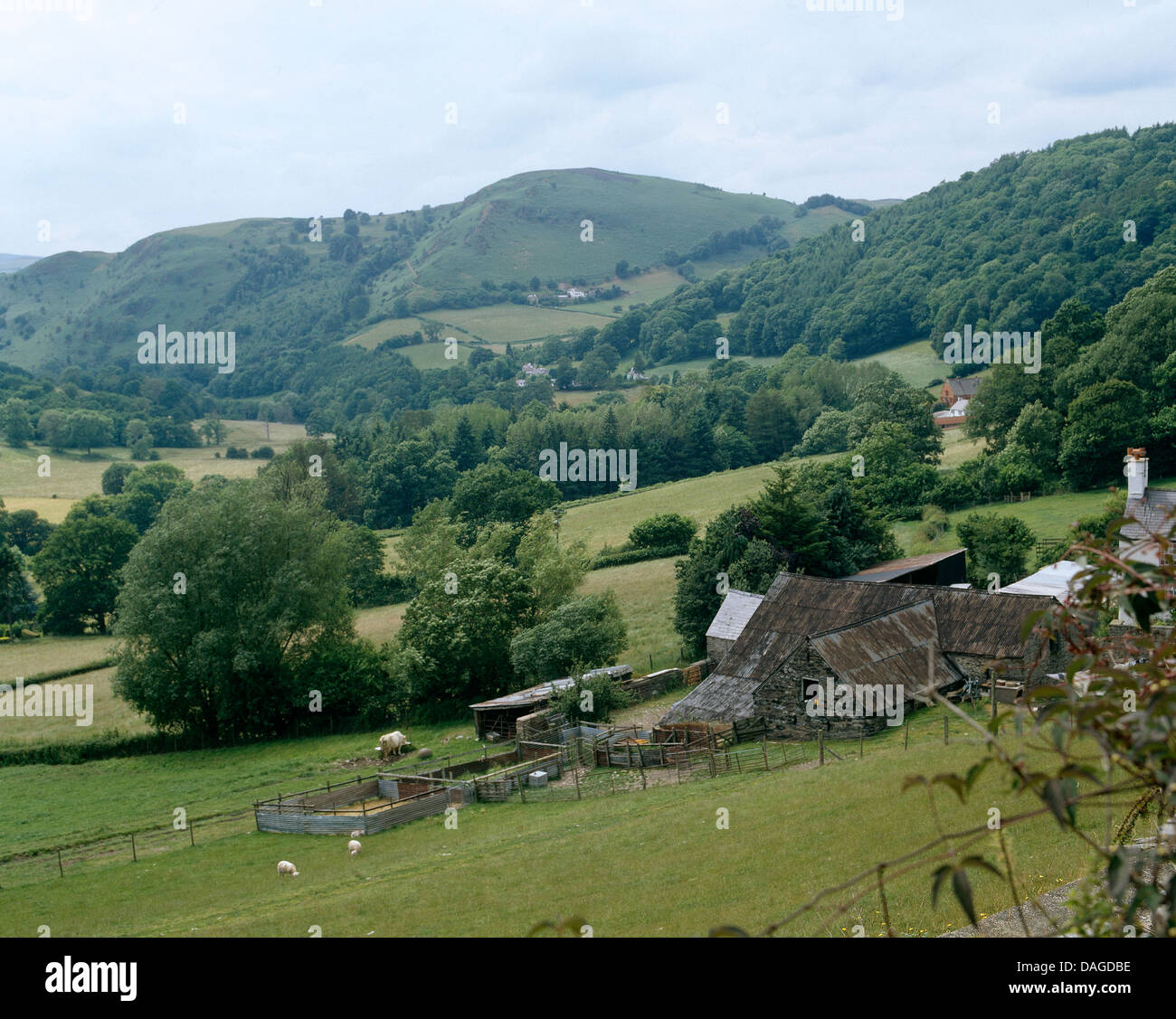 Old farm in wooded valley, viewed from the top of the hill Stock Photo ...