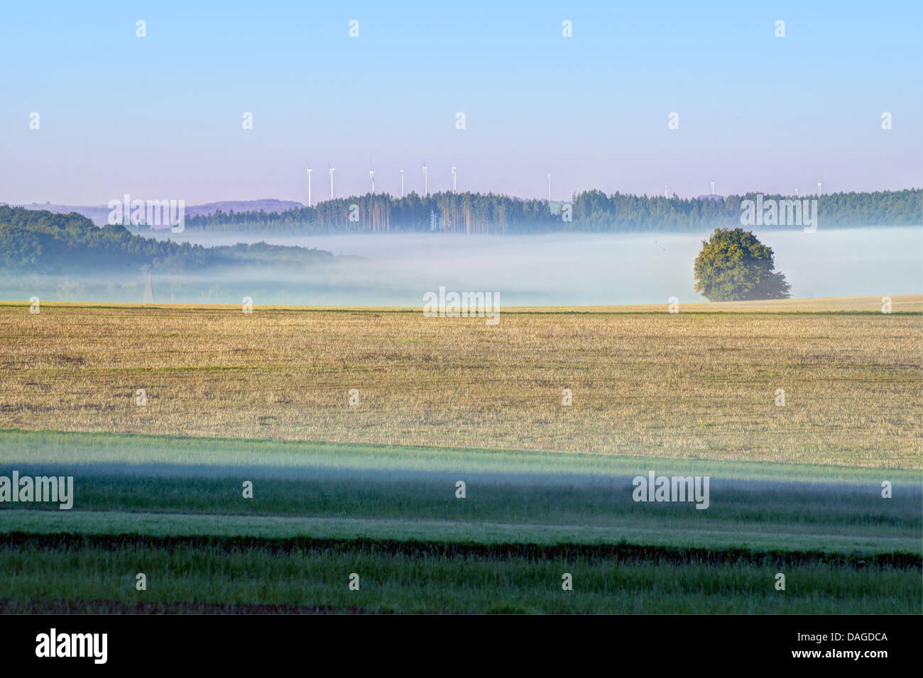 landscape of Vulkan Eifel with ground fog, wind power stations in ...
