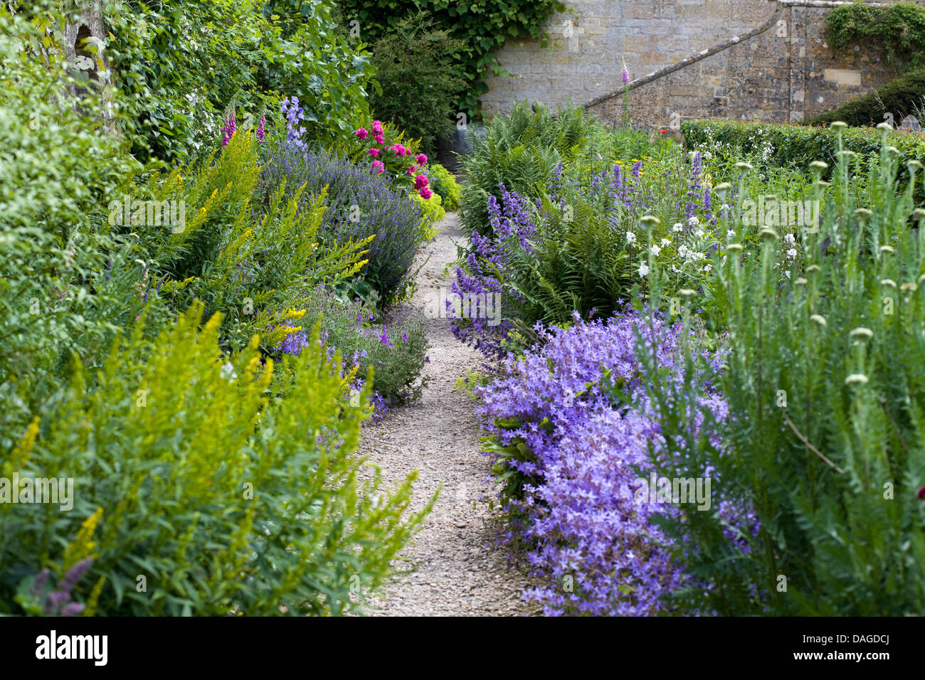Pathway trough Growing Flowers In an English Country Garden Stock Photo ...