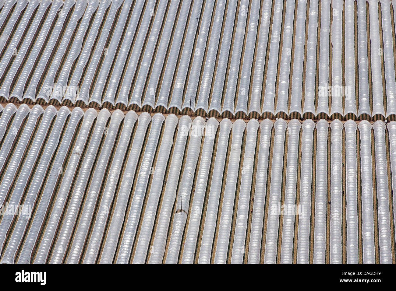 AERIAL VIEW OF COMMERCIAL POLYTUNNELS IN THE COUNTRYSIDE Stock Photo ...