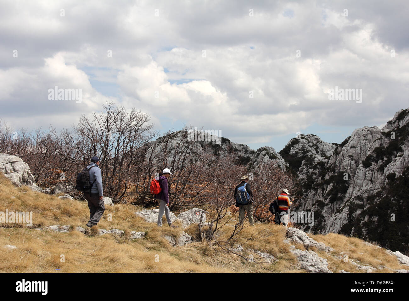 Trekking Velebit, Premuzic trail, Croatia Stock Photo - Alamy