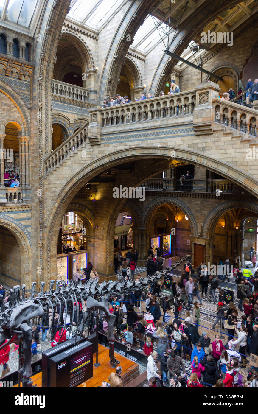 UK, England, London, Natural History Museum Stock Photo - Alamy