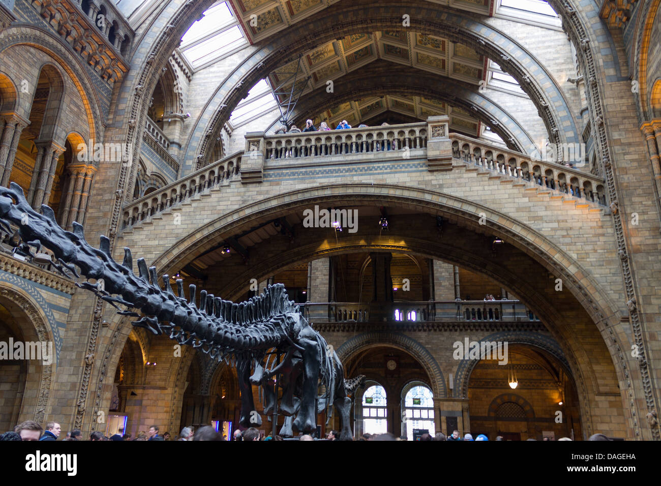 UK, England, London, Natural History Museum Stock Photo - Alamy