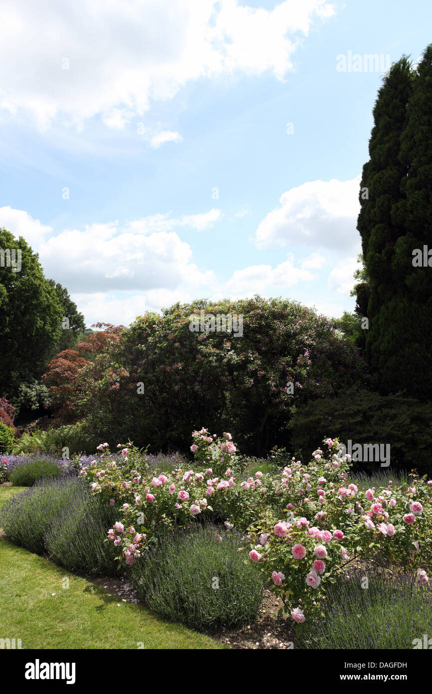 Rose garden, Scotney Castle, Kent Stock Photo - Alamy