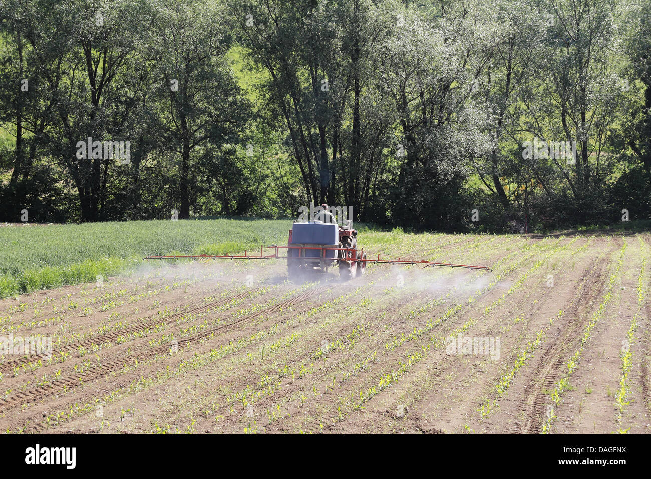 Spring spraying tractor for higher yield Stock Photo - Alamy