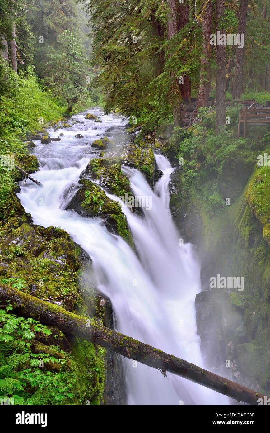 Sol duc falls washington hi-res stock photography and images - Alamy