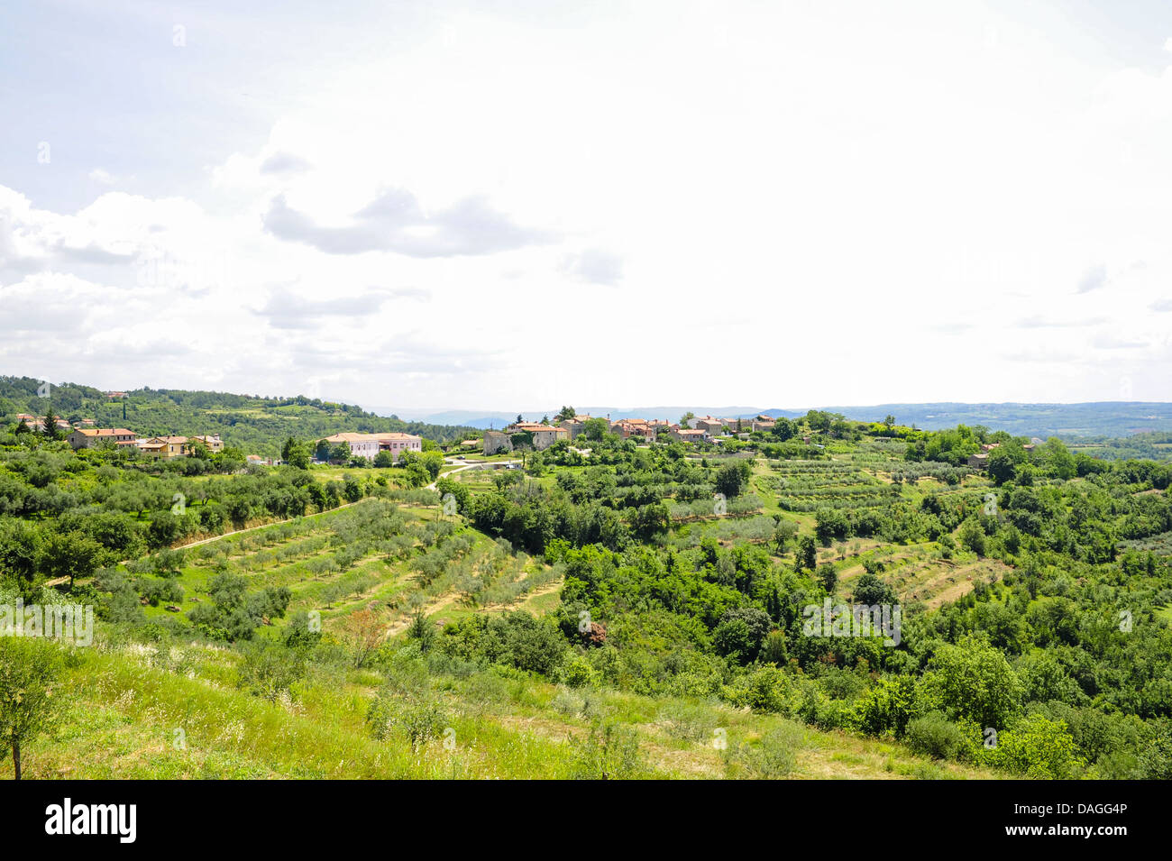 Istria, Croatia, Krasica Stock Photo - Alamy