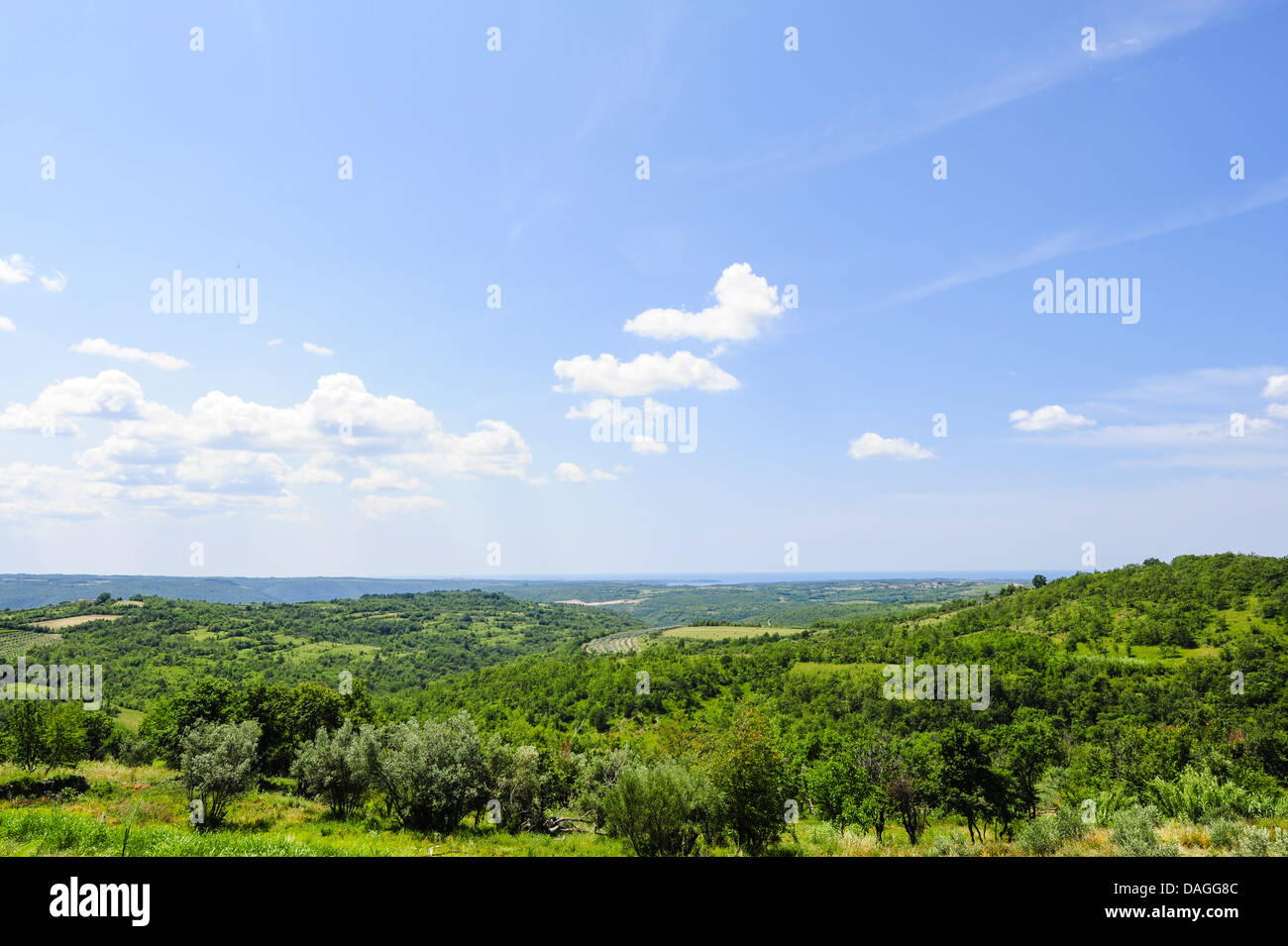 Istria, Croatia, Krasica Stock Photo - Alamy