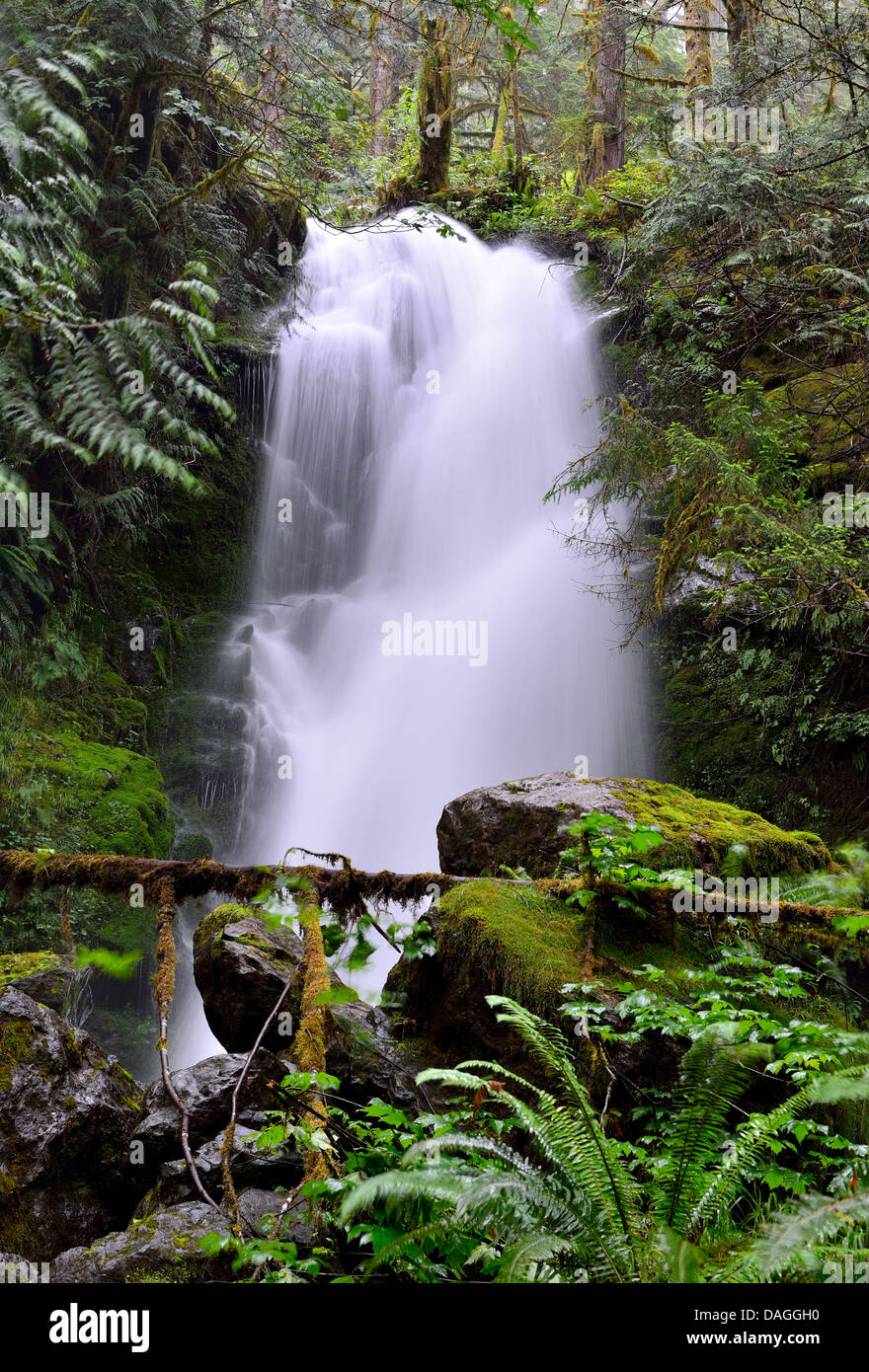 Merriman hi-res stock photography and images - Alamy