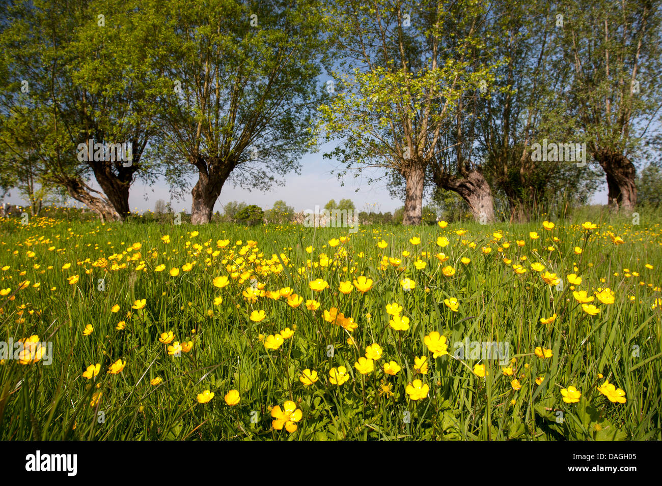 Crowfeet hi-res stock photography and images - Alamy