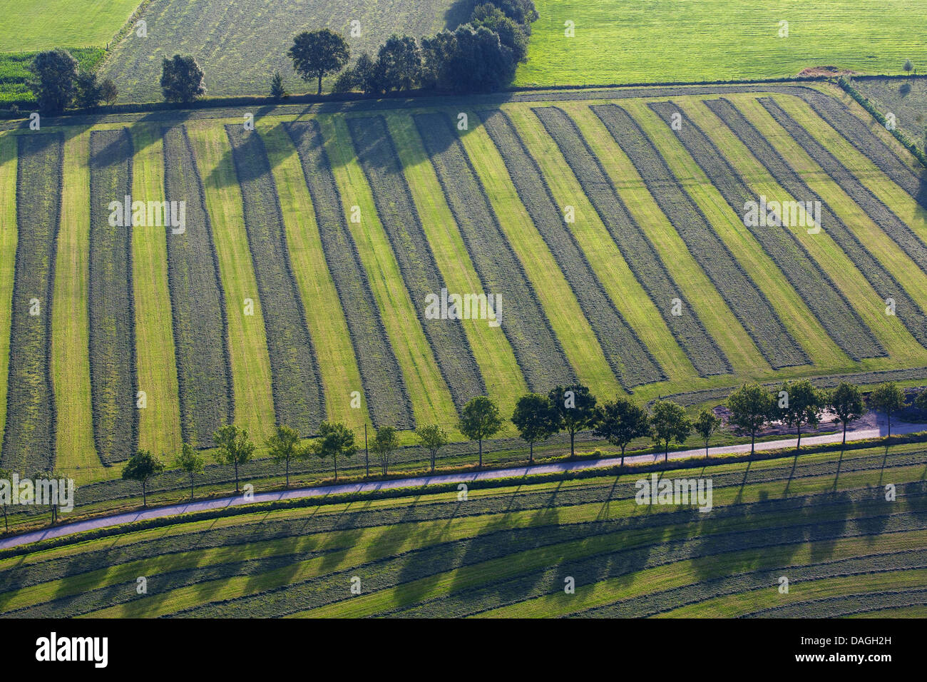 agricultural area with striped fields, grasslands and hedges from the ...