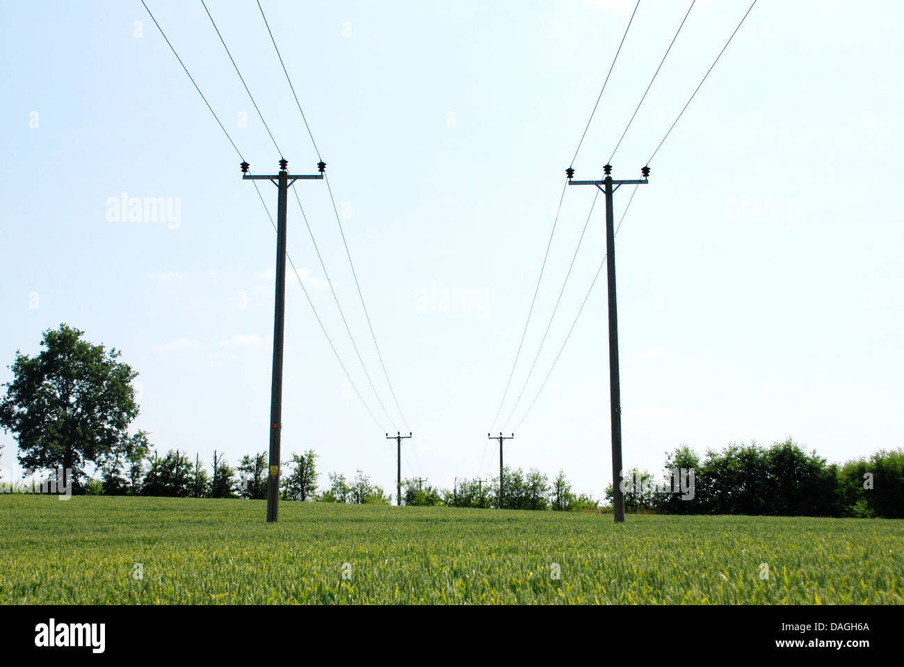 Electricity pylons carrying power above a farm field, contrasting ...