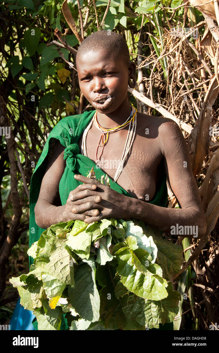 A young Suri (Surma) woman with tobacco leaves, Ethiopia Stock Photo ...