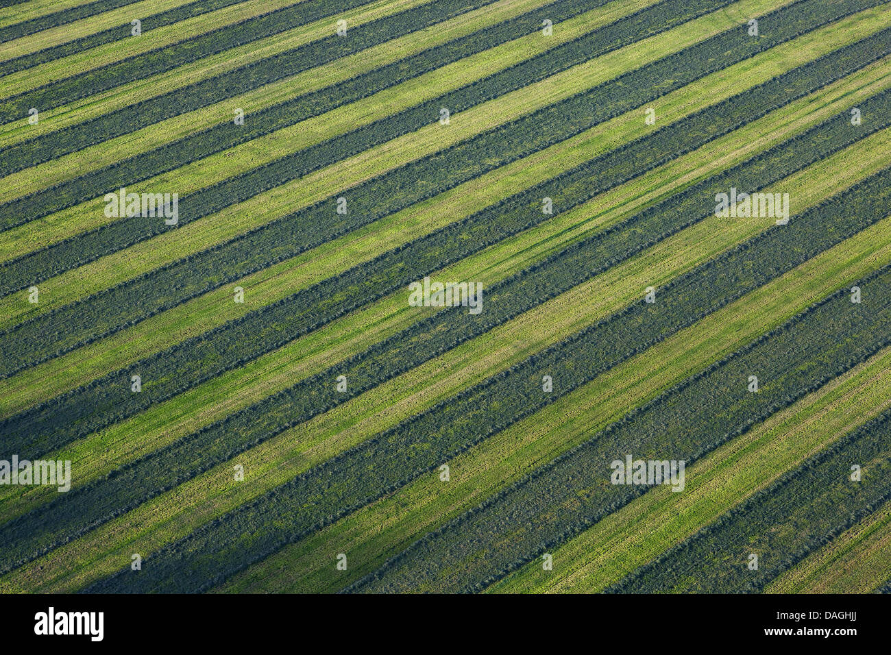 Cutting fields pattern hi-res stock photography and images - Alamy