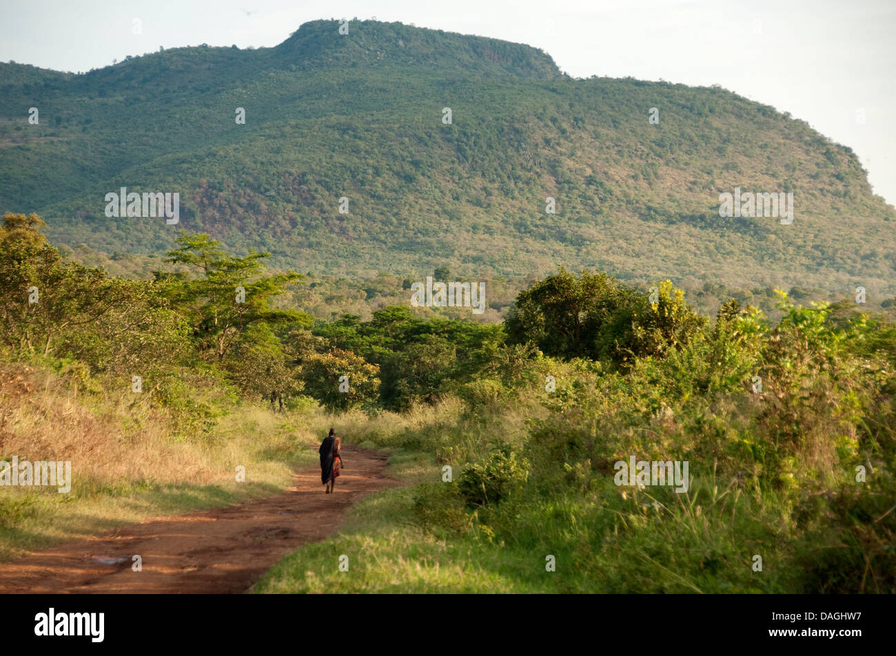 Suri (Surma) man on a track in the bush, Ethiopia Stock Photo - Alamy
