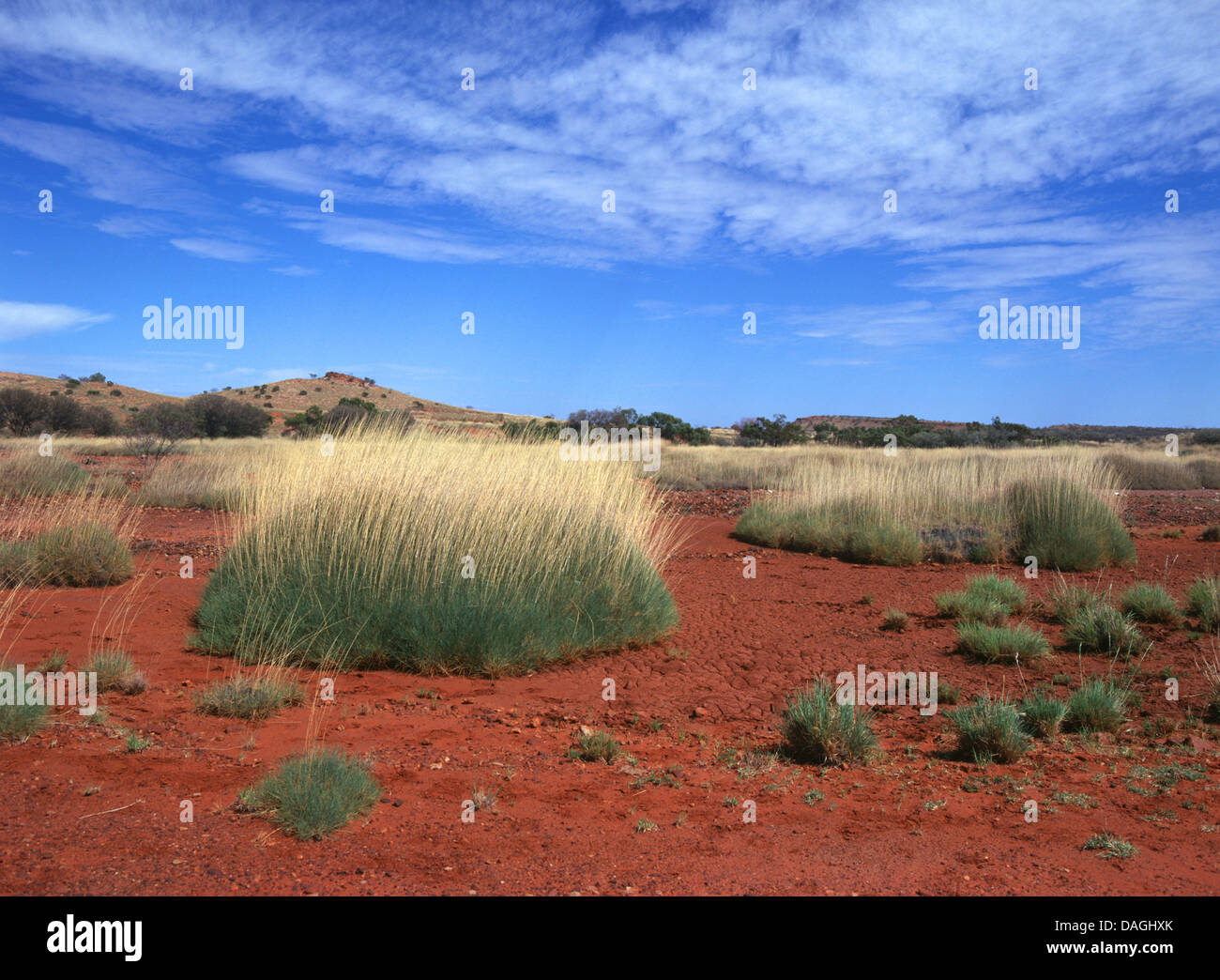 landscape in Australia, Outback, Australia Stock Photo - Alamy