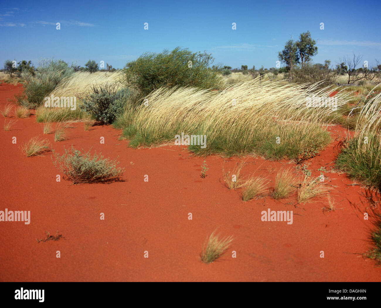 landscape in Australia, Outback, Australia Stock Photo - Alamy
